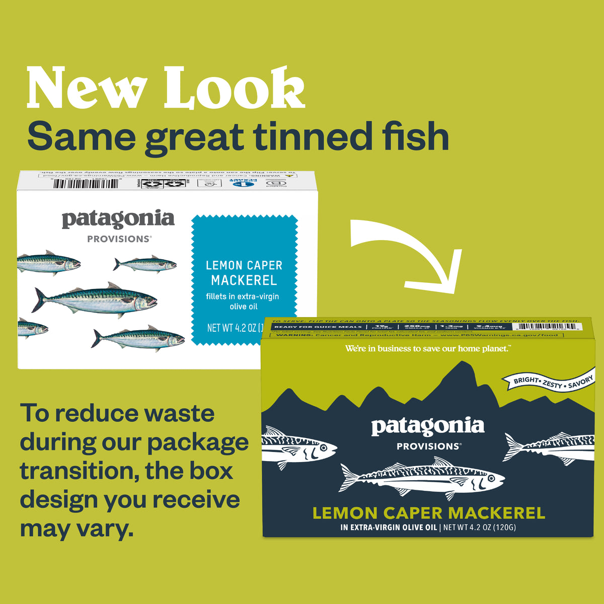 Patagonia Provisions Official Website