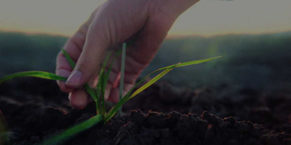 Patagonia Provisions - Delicious, Sustainable Food & Recipes