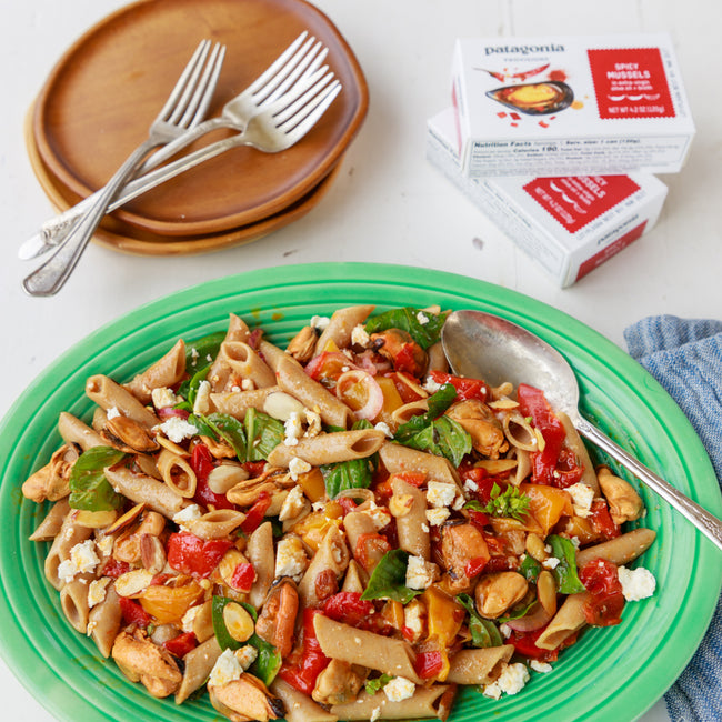 Mussels Collection – Patagonia Provisions