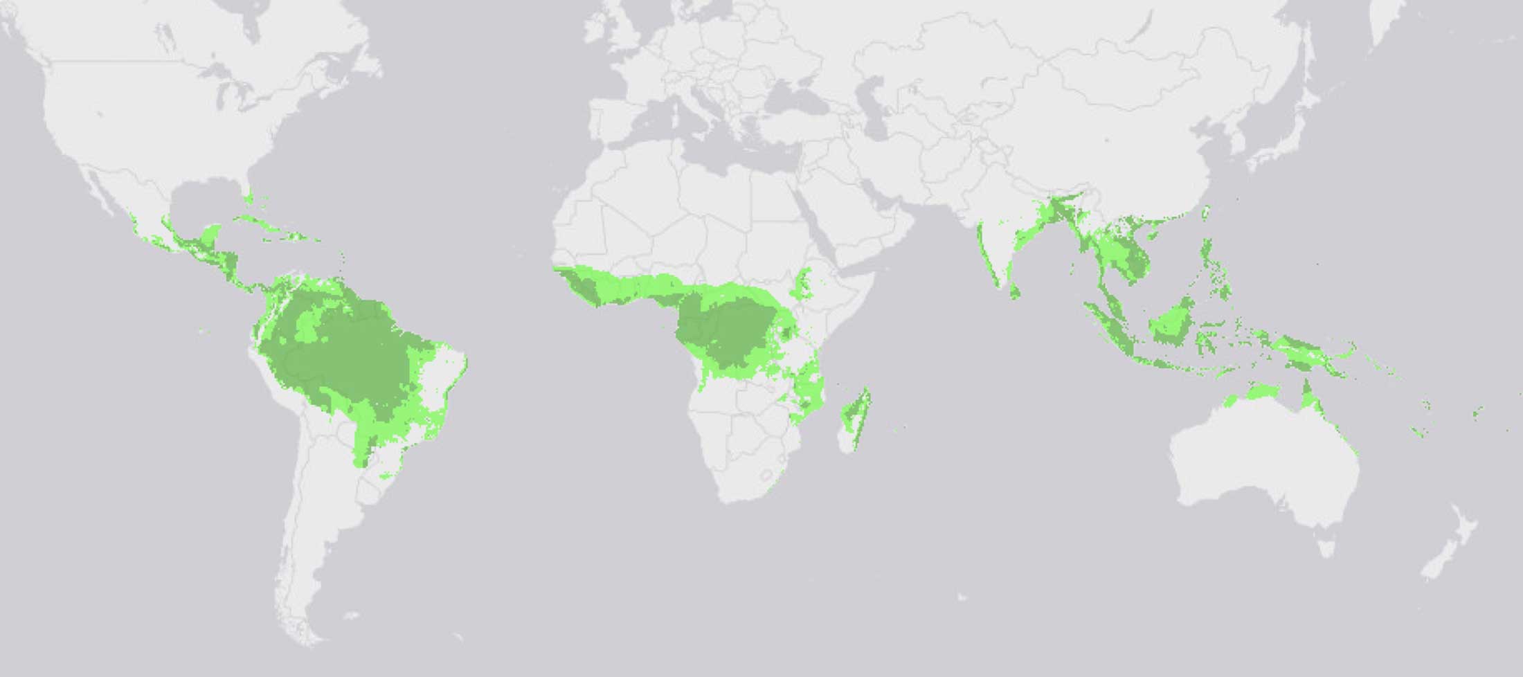 Breadfruit Sourcing | Patagonia Provisions